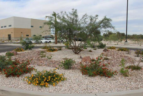 Facility Tours - San Luis Walk-In Clinic, Inc. - Regional Center for ...